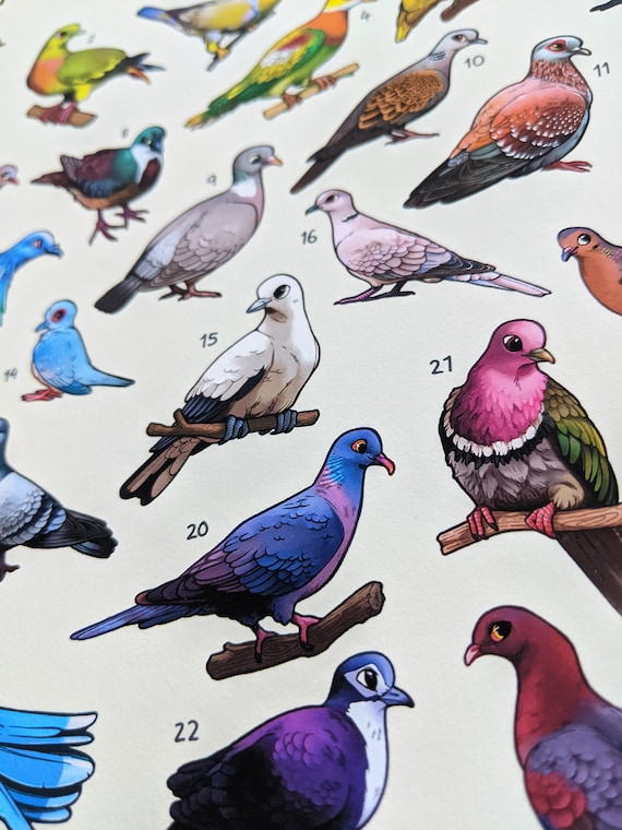 Pigeon Art