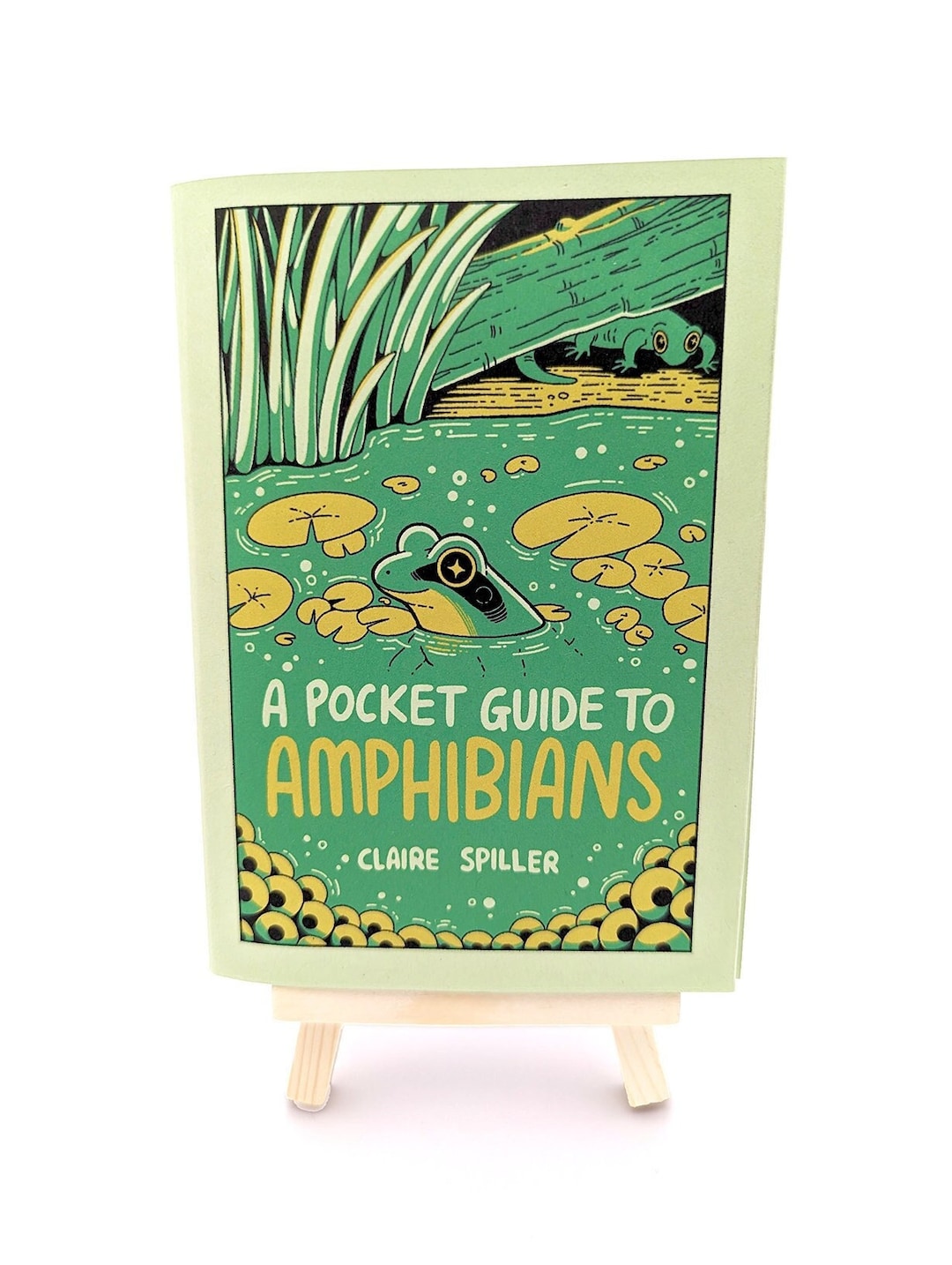 Amphibian Pocket Guide Zine Educational Fold Out Poster - Etsy