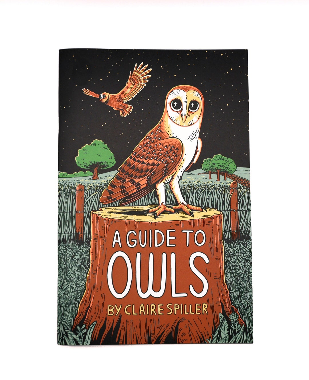A Guide to Owls / Wildlife Zine / Illustrated Animal Book - Etsy