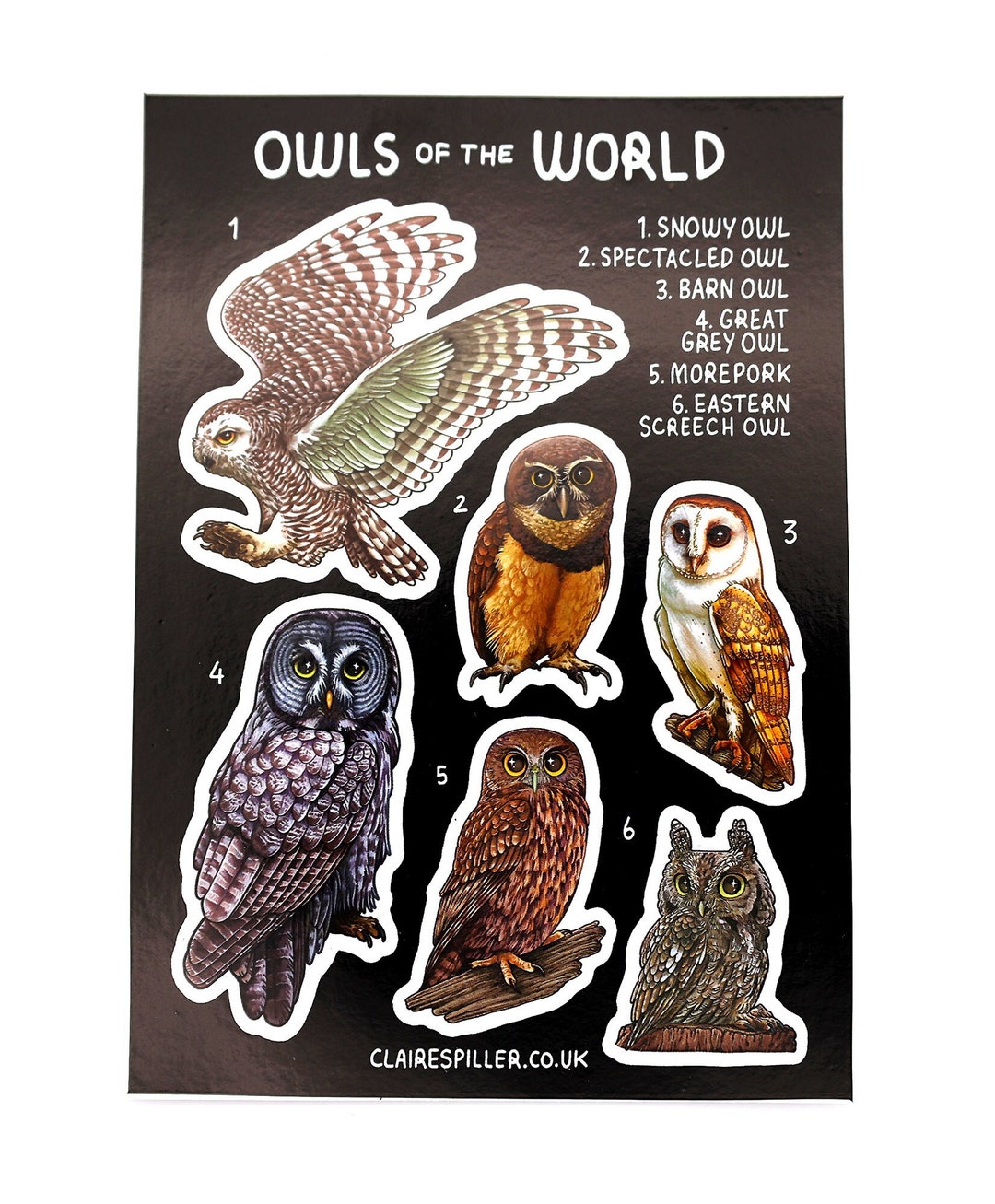 Owls of the World Sticker Sheet / Vinyl Wildlife Bird Stickers - Etsy