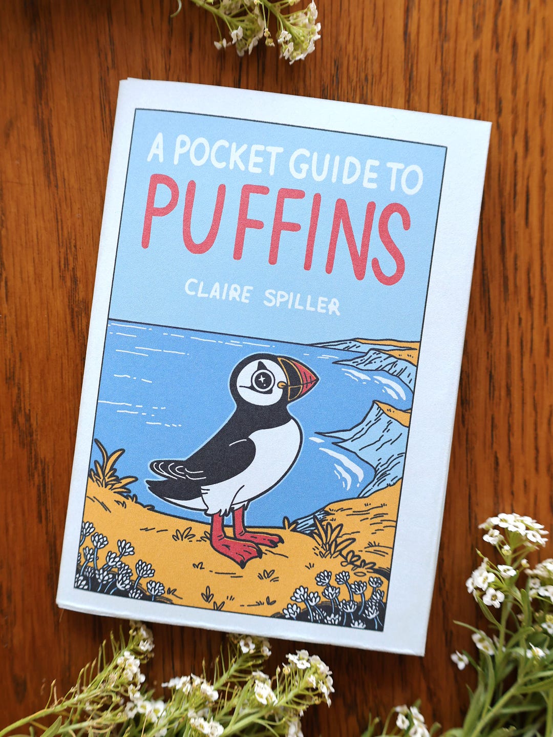 A Pocket Guide to Puffins / Wildlife Zine / Fold Out Mini Comic / Bird ...