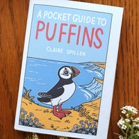 Put the Puffin Back! A Children's Puffin Adventure Book... - Etsy UK