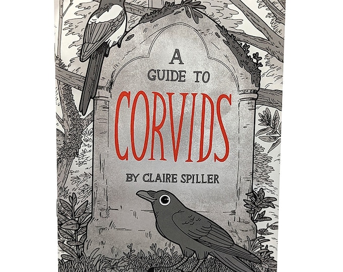 A Guide to Corvids / Wildlife Zine / Magpie Crow Raven / A3 British ...