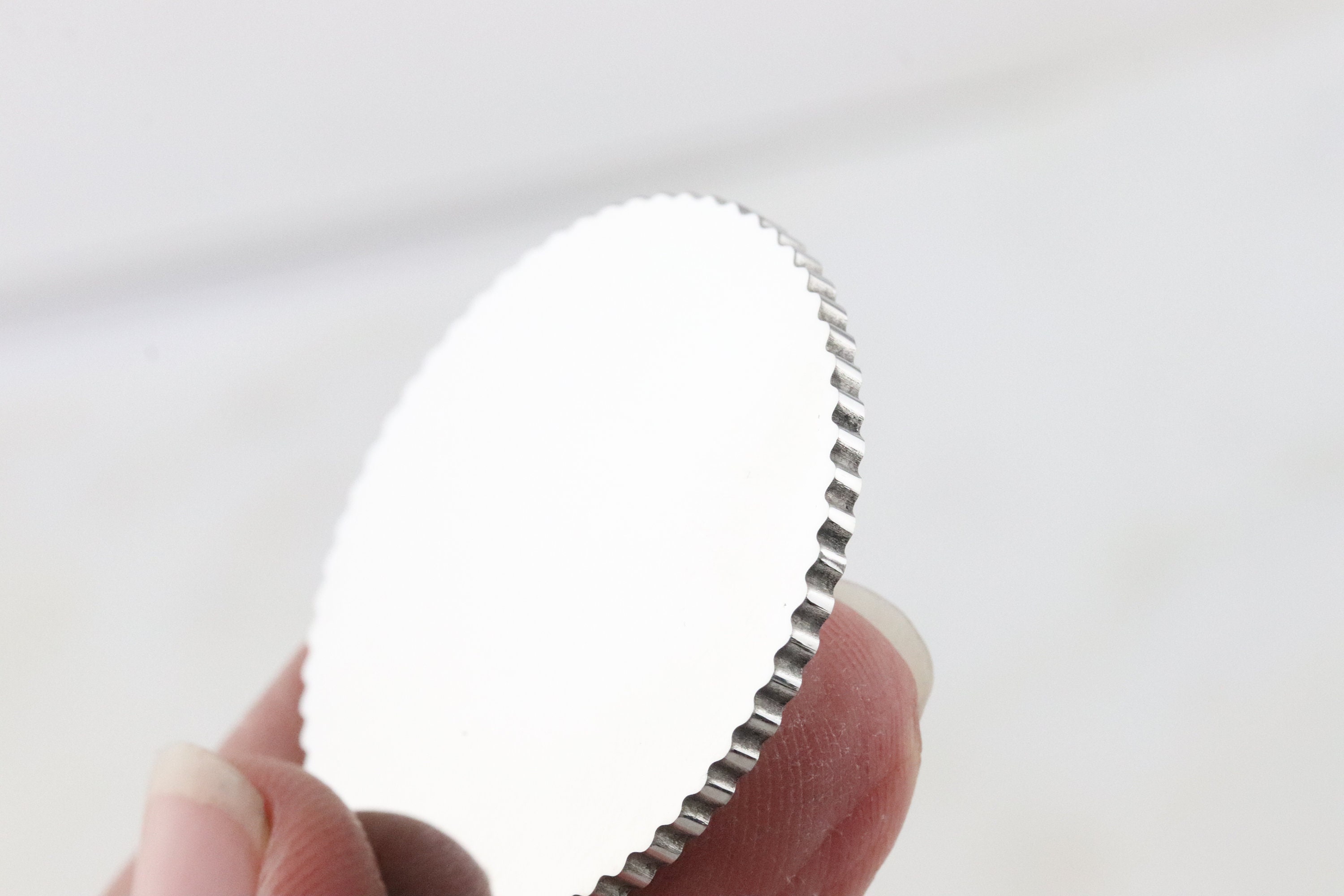 Silver Coin Blank Stainless Steel Coin Making Blank Reed | Etsy