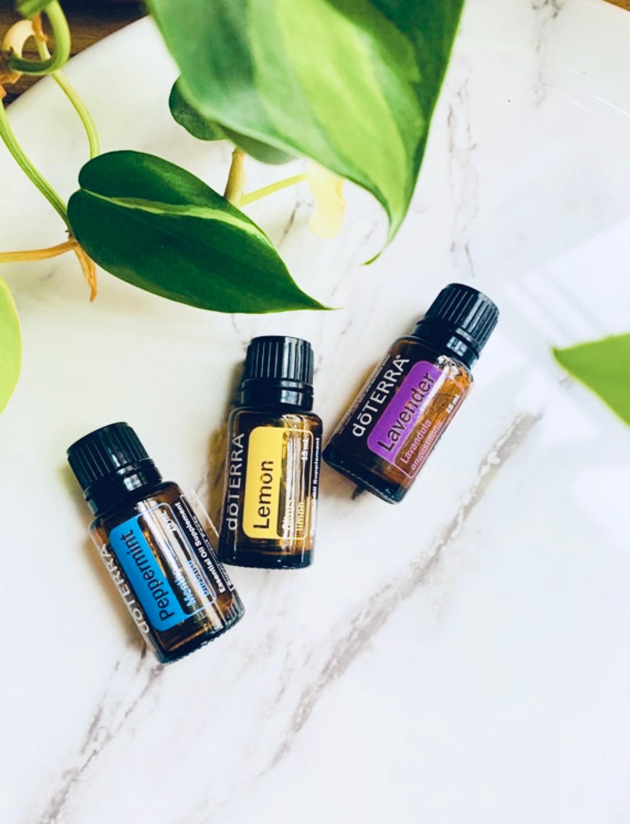 DoTERRA Trío Aceites Esenciales Kit Natural Therapeutic Grado | Etsy