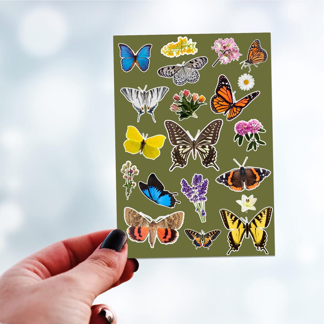 Butterfly Stickers, Butterflies, Sticker Sheet, Spring, Journal Sticker ...
