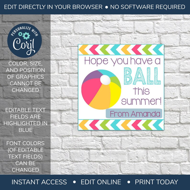 EDITABLE Hope You Have a Ball This Summer Tag End of School - Etsy