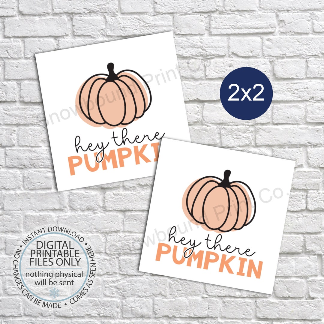Printable Hey There Pumpkin Tags Fall Gift Tags Fall Cookie - Etsy