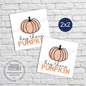 Printable Hey There Pumpkin Tags, Fall Gift Tags, Fall Cookie Tag ...