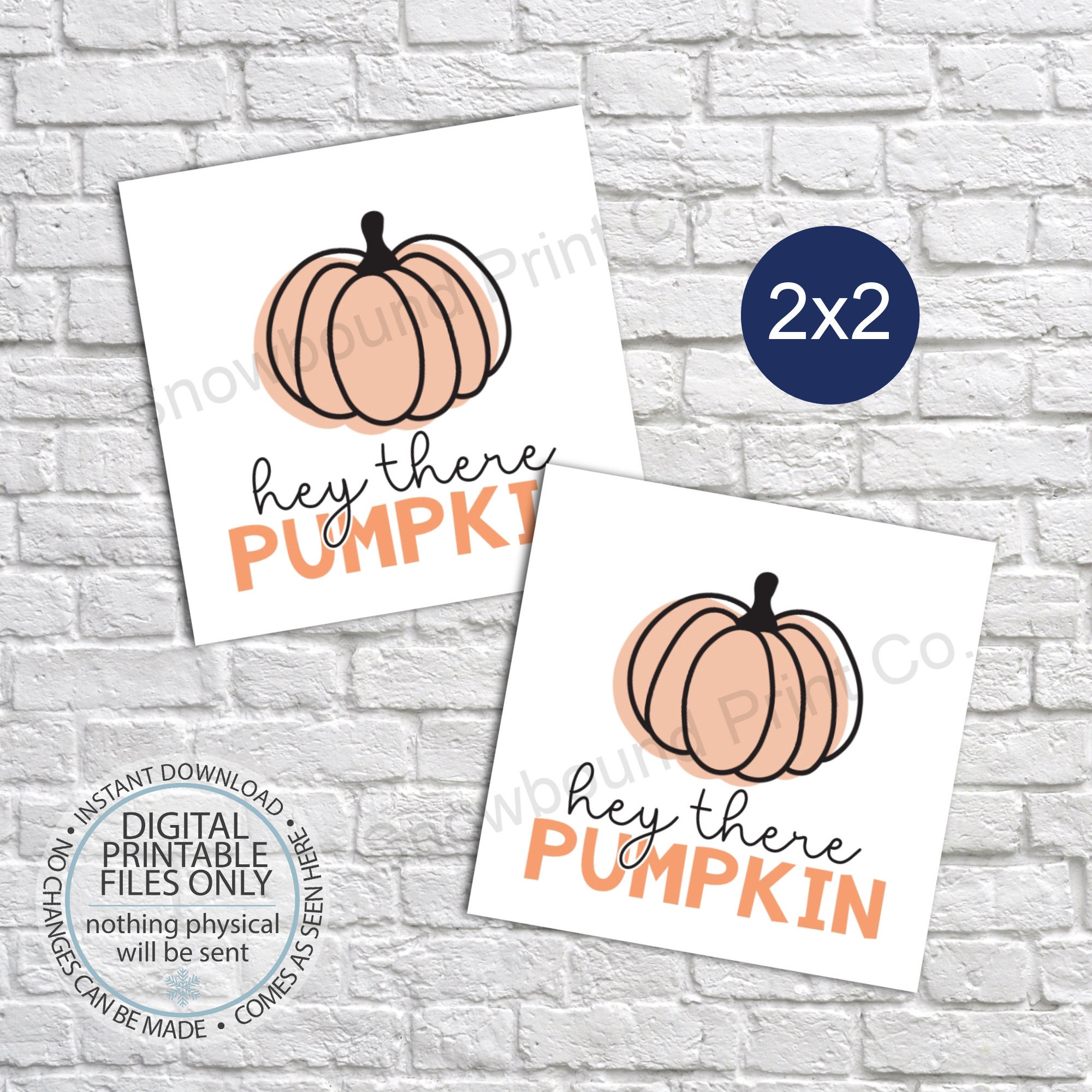 Printable Hey There Pumpkin Tags, Fall Gift Tags, Fall Cookie Tag ...