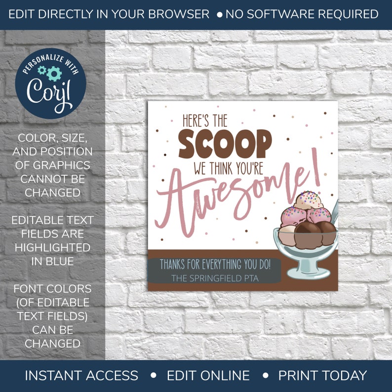 EDITABLE Ice Cream Appreciation Gift Tag, Teacher Staff Employee School ...