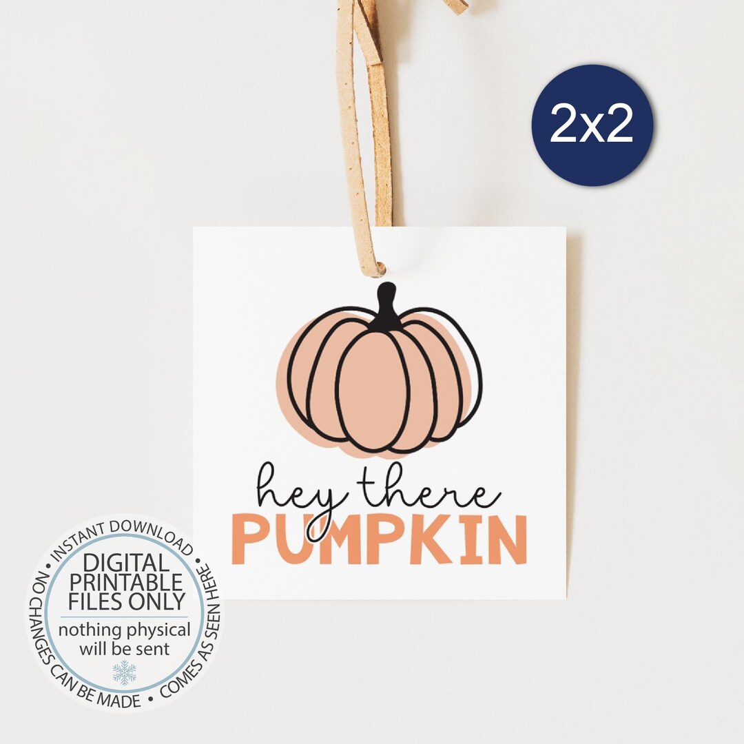 Printable Hey There Pumpkin Tags, Fall Gift Tags, Fall Cookie Tag ...