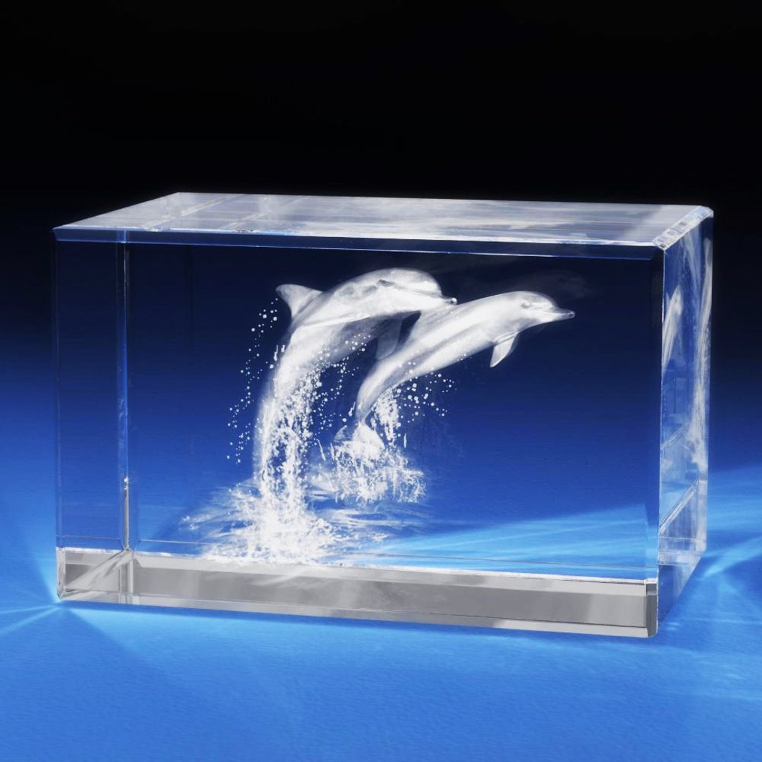 Dolphins 3D Photo Crystal, Animal Lover Gift, Engraved Art, Laser ...