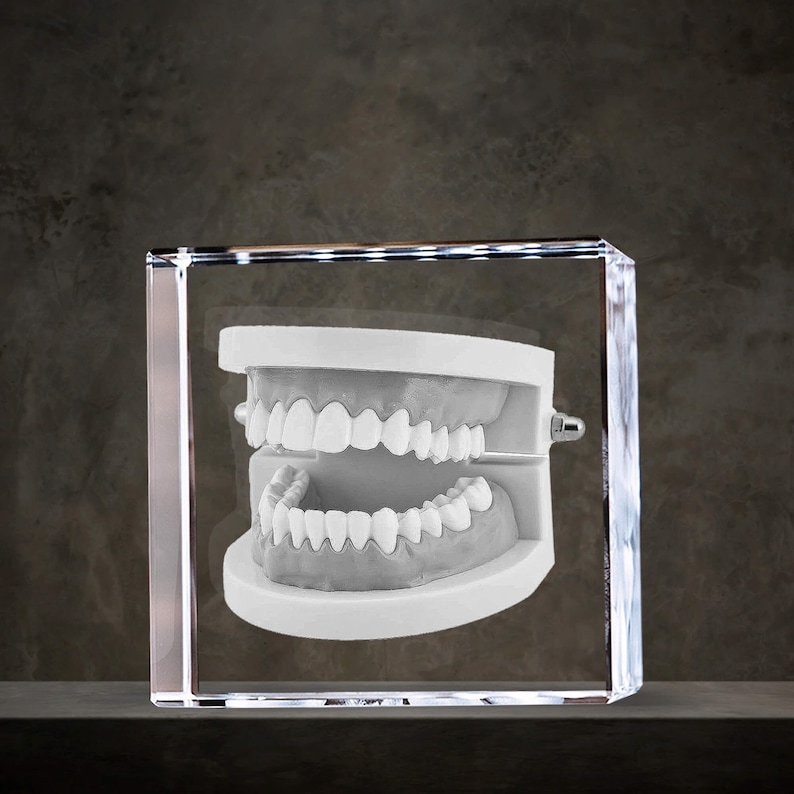 Custom 3D Mouth Anatomy Glass Art, Dentist Gift, New Clinic Decor ...