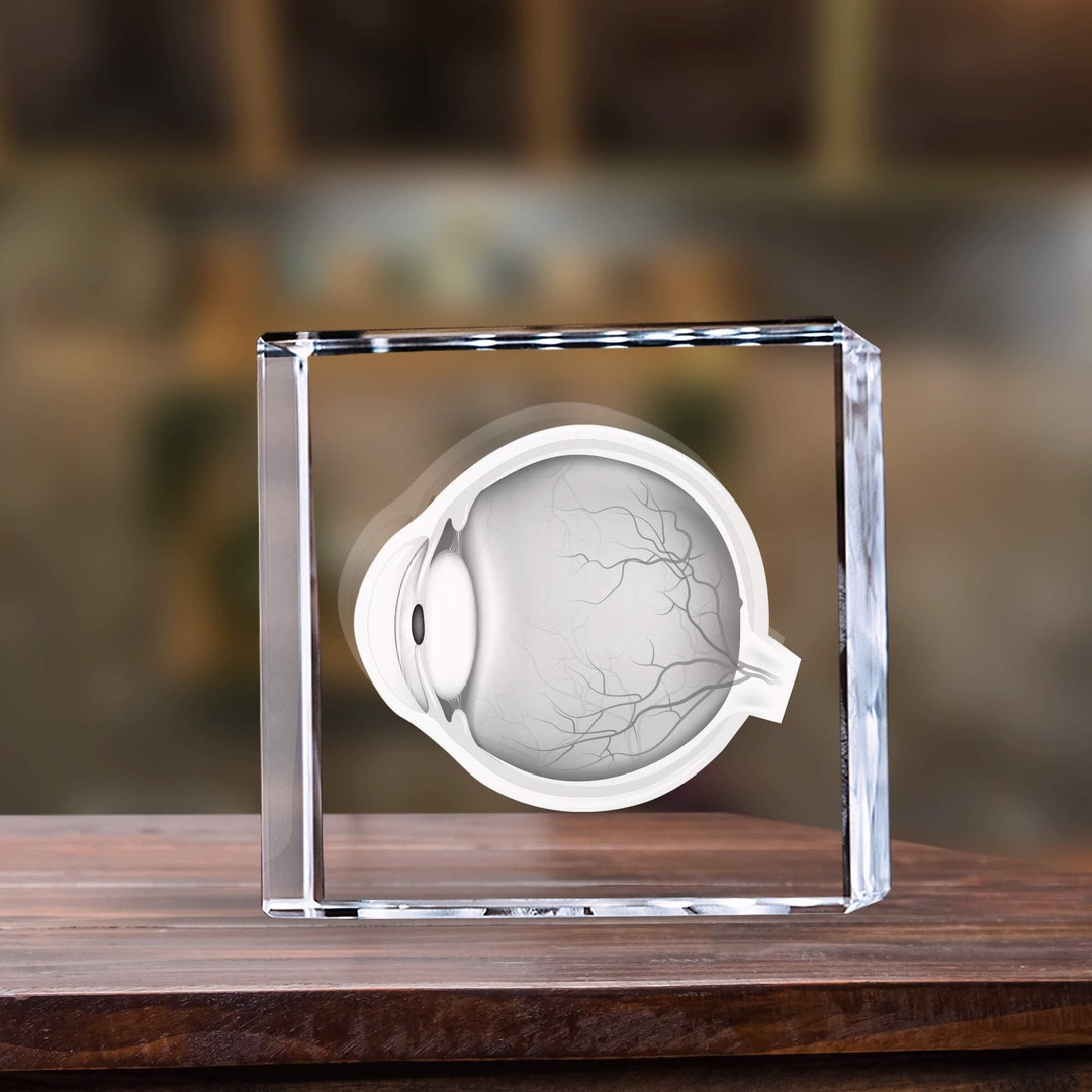 Doctor Gift, Office Decor, Human Organs, Eyeball, Engraved Art, Laser ...