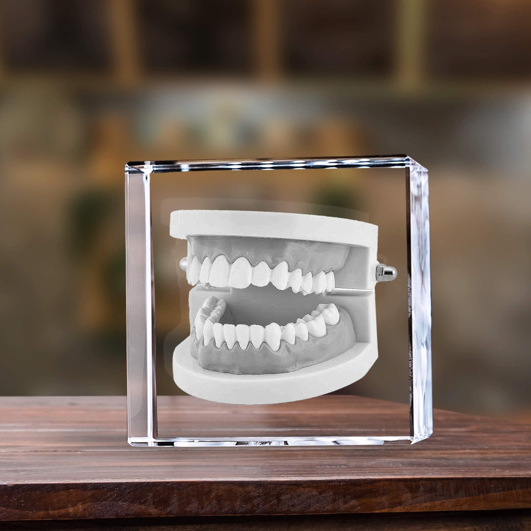 Mouth Dentist Gift, Office Decor, Human Organs, Engraved Art, Laser ...