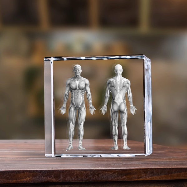 Doctor Muscles Ornament - Etsy