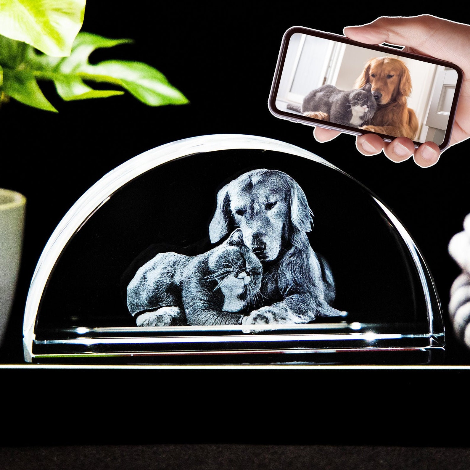 3D Photo Crystal Arc Personalized Gift Custom Laser - Etsy