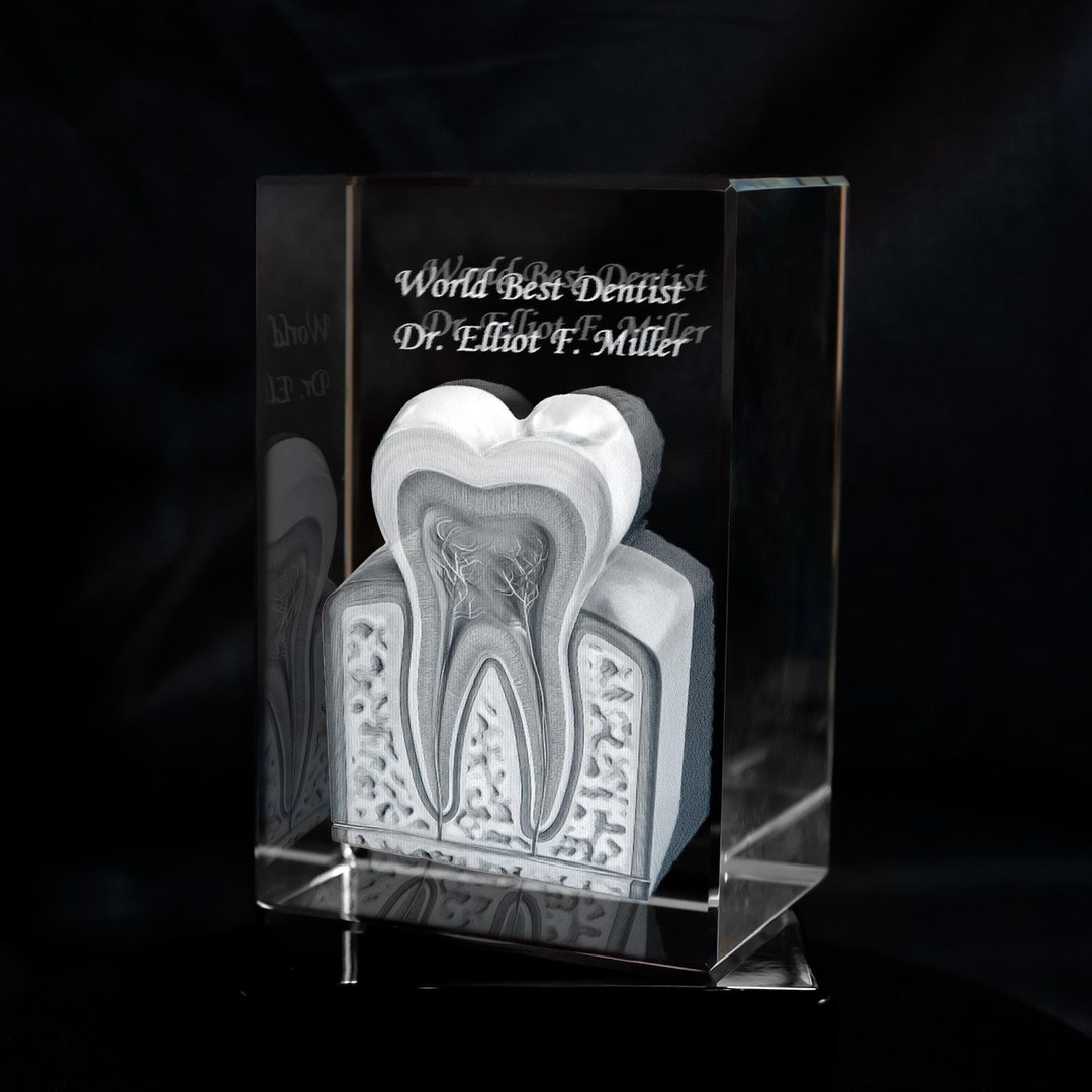 Doctor Appreciation Gift, Tooth Anatomy, Gift-for-dentist, Laser ...
