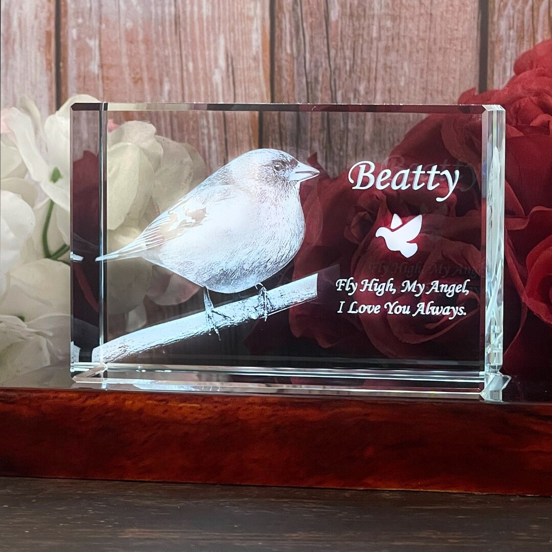 Custom Bird Memorial Glass, Parrot Remembrance Gift, Laser Etched ...