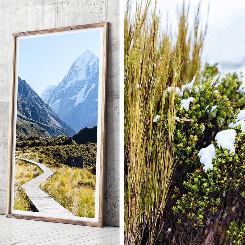 New Zealand Print Series Nature Photography X3 Prints - Etsy