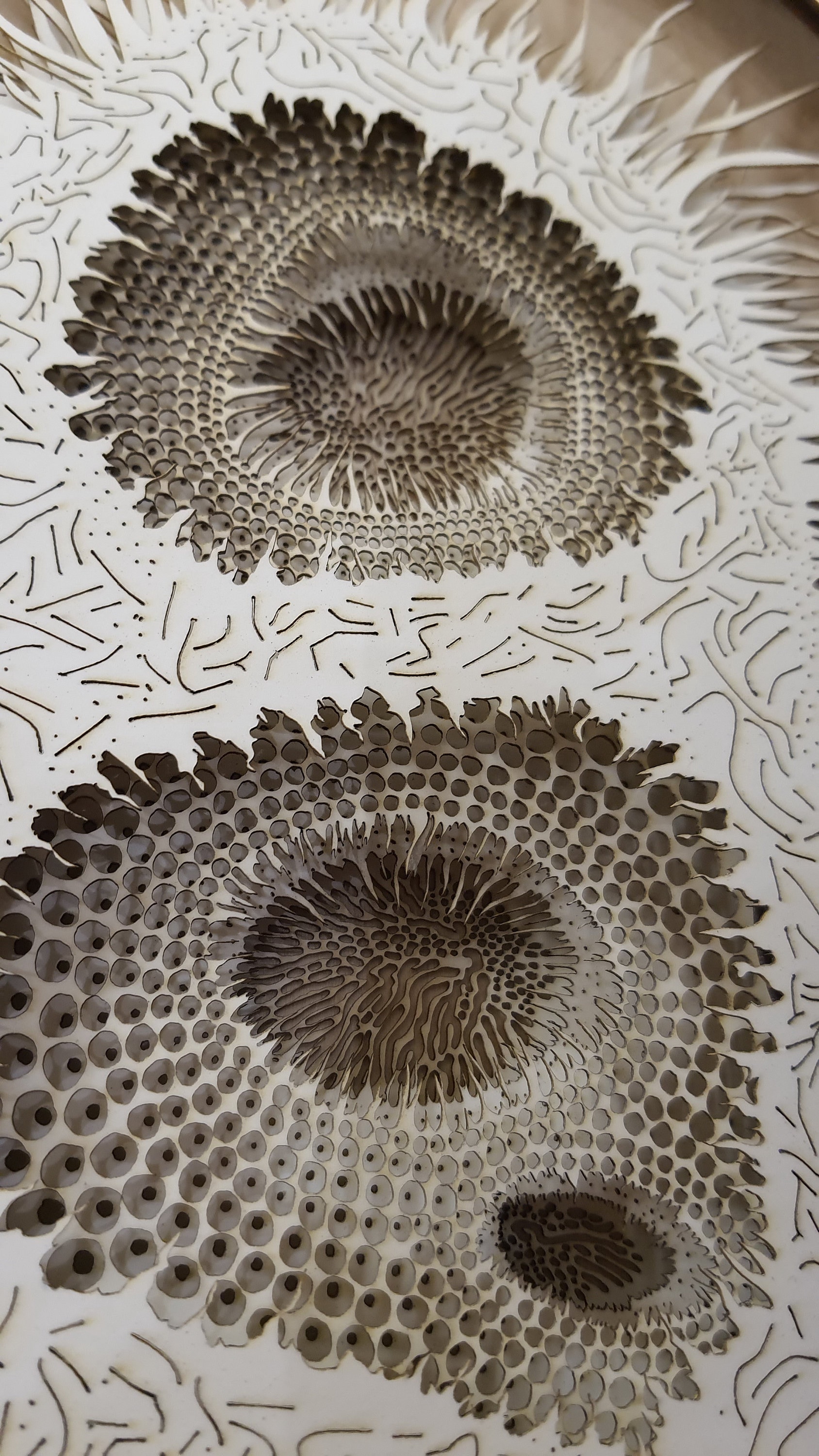 Ambrosia Wall Sculpture, Abstract Wall Art, Paper Wall Art, 3D Wall Art ...