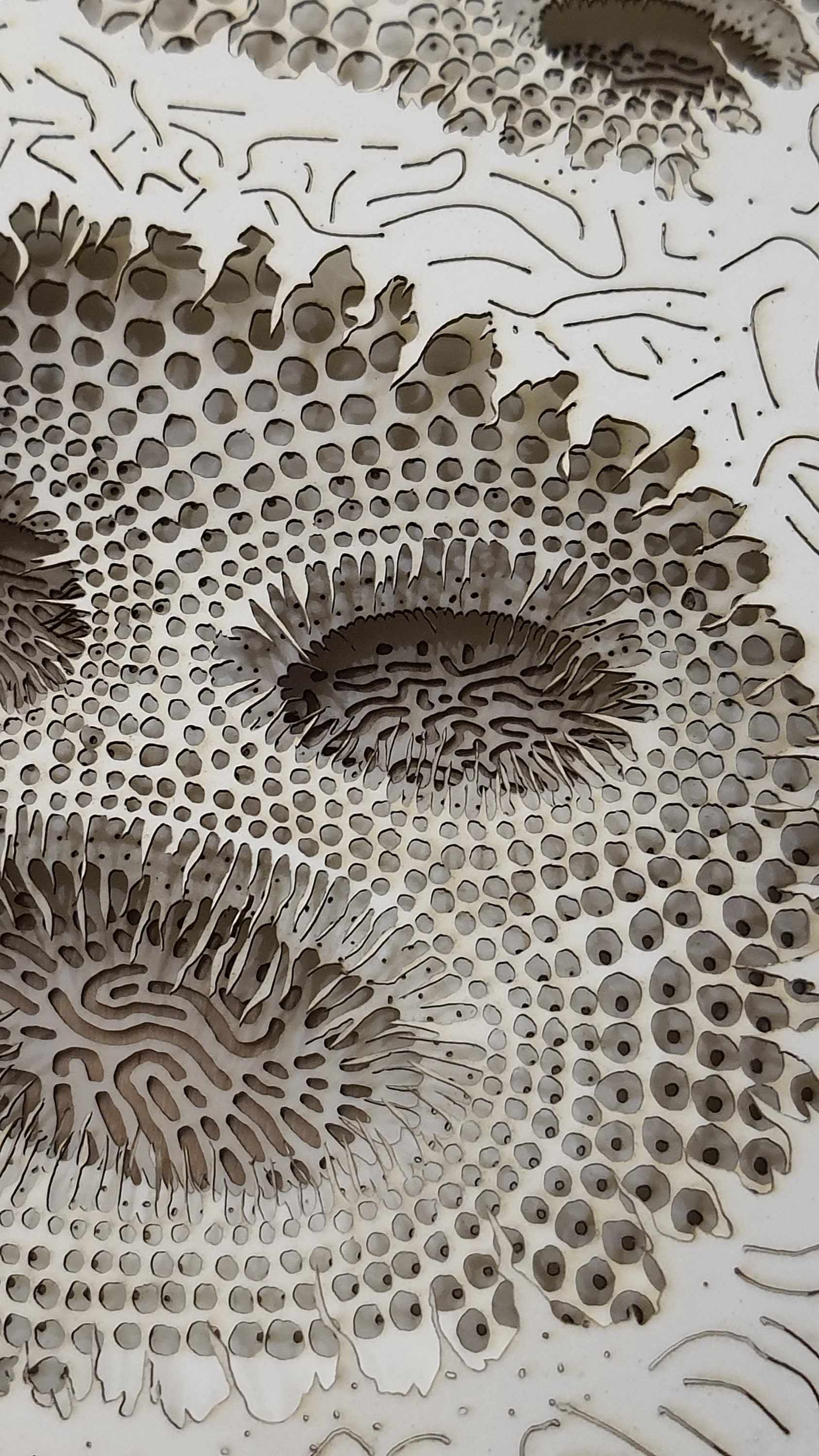 Ambrosia Wall Sculpture, Abstract Wall Art, Paper Wall Art, 3D Wall Art ...