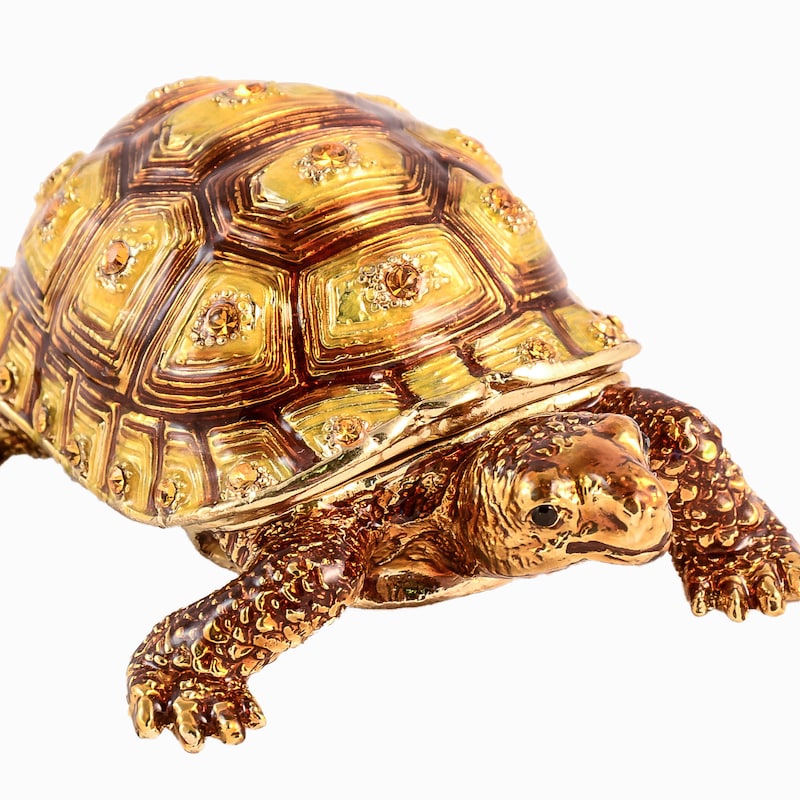 Wooden Box for Tortoise - Etsy