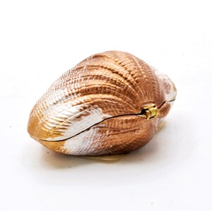 Bejeweled Clam Shell With Pearl Trinket Box. Hand Crafted & Painted ...