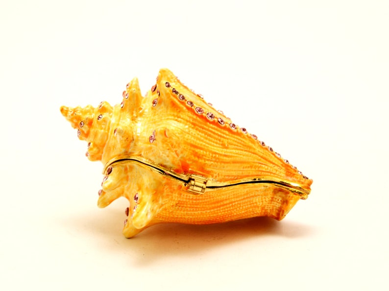 Conch Shell Trinket Box by Ciel Collectables. Hand Crafted With Pink ...
