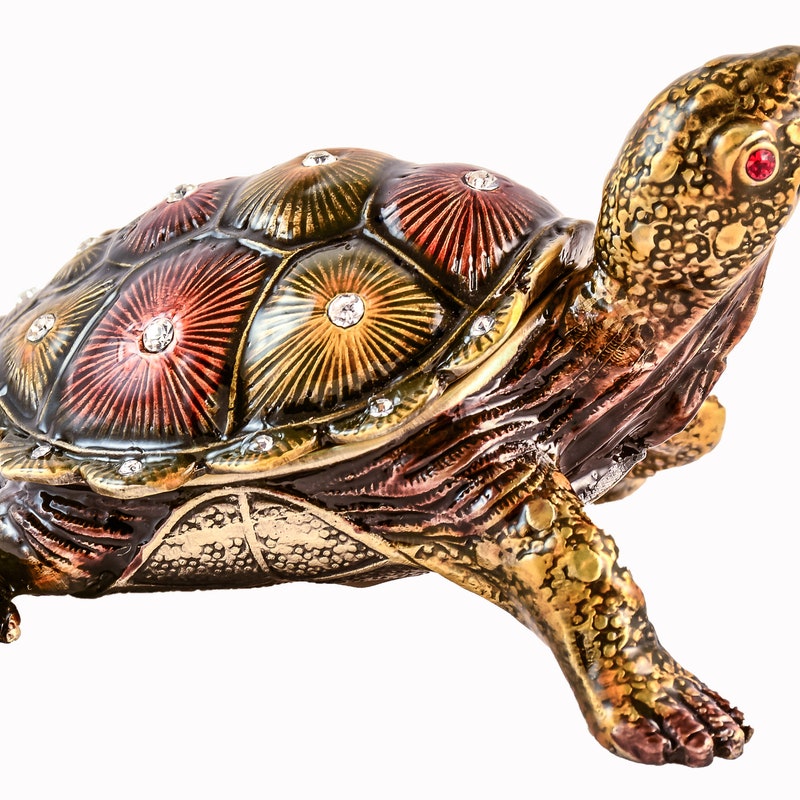 Turtle Trinket Box - Etsy