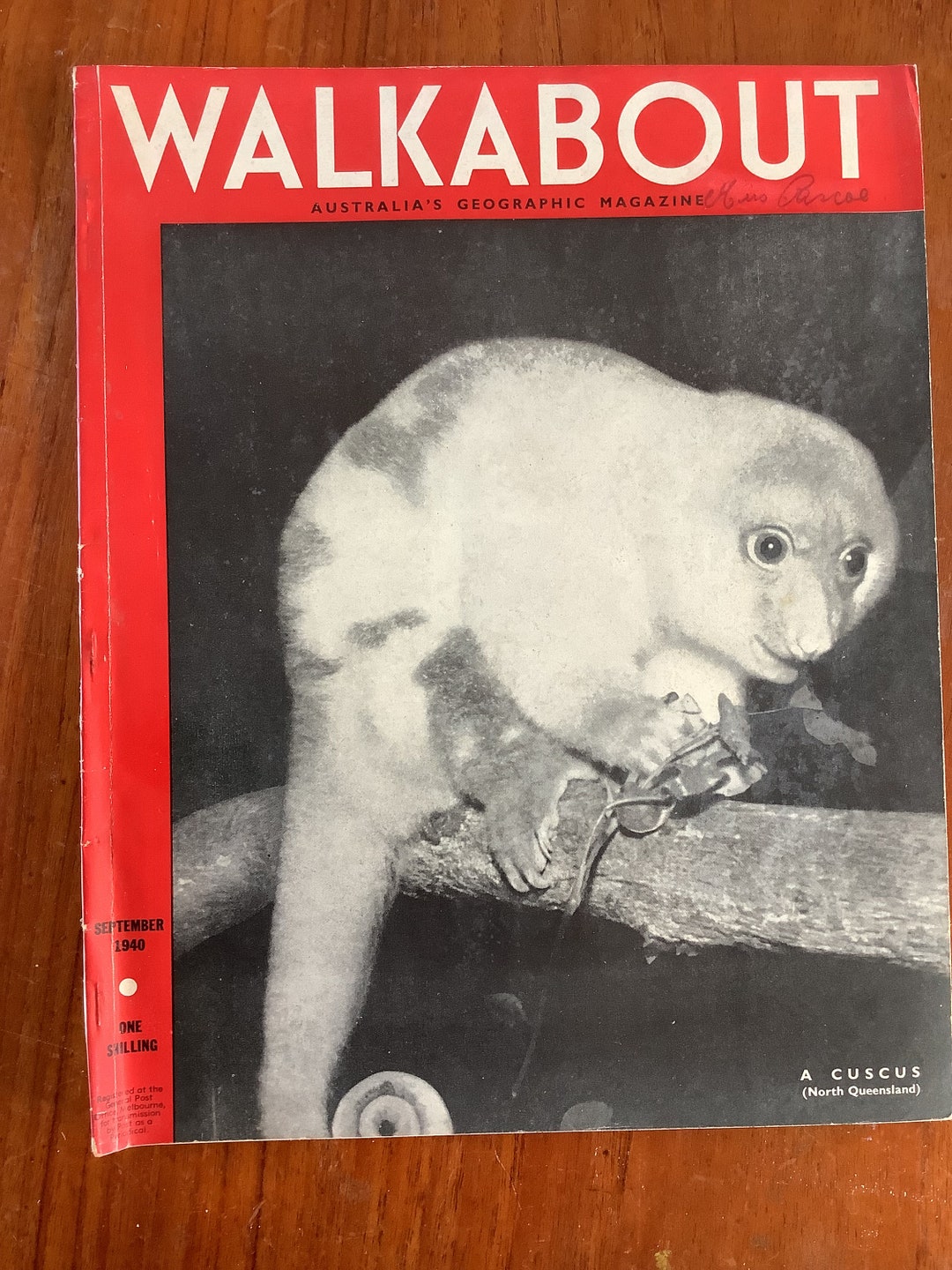 Walkabout Magazine Australia Geographic Cuscus Cover September 1940 - Etsy