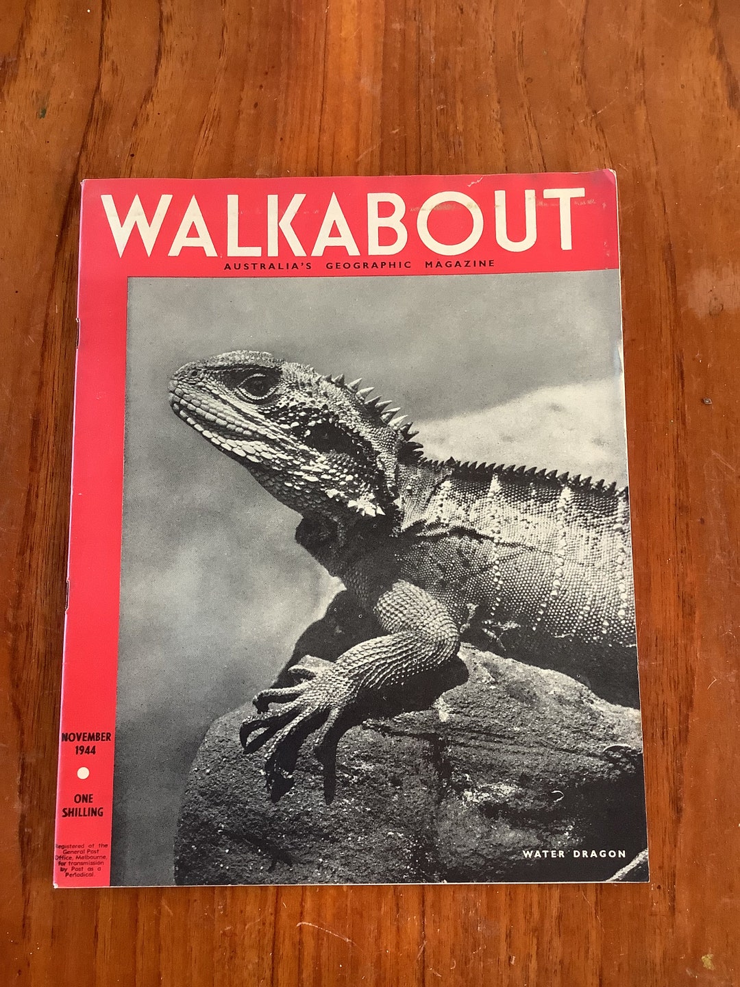 Walkabout Magazine Australia Geographic “water Dragon” Cover November ...