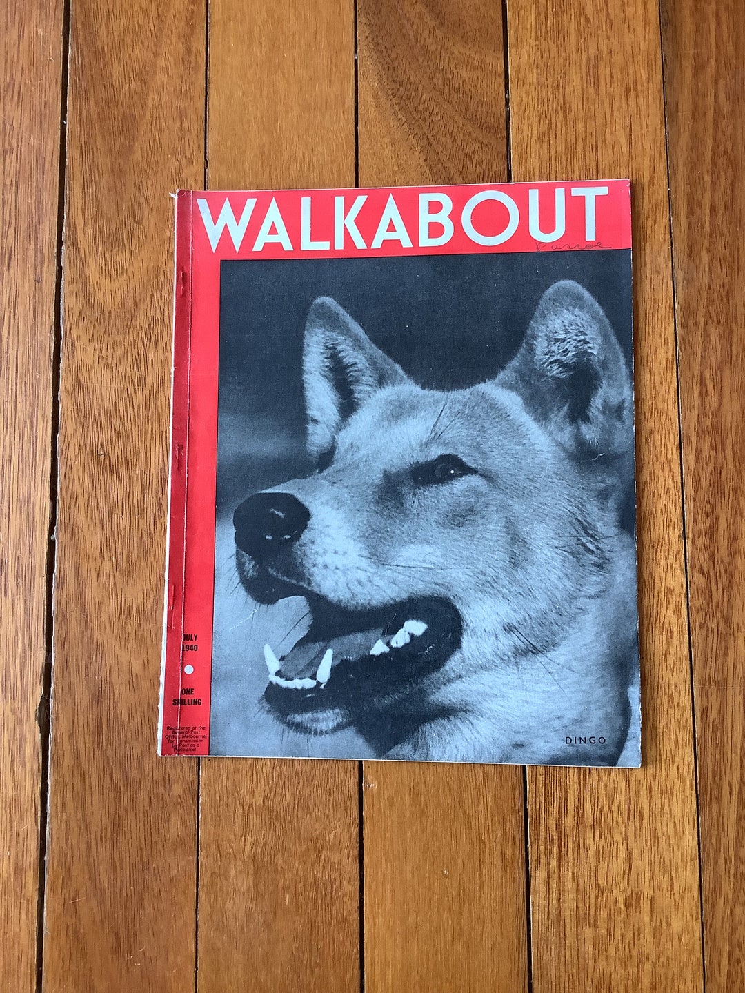 Walkabout Magazine Australia Geographic Dingo Cover July 1940 - Etsy