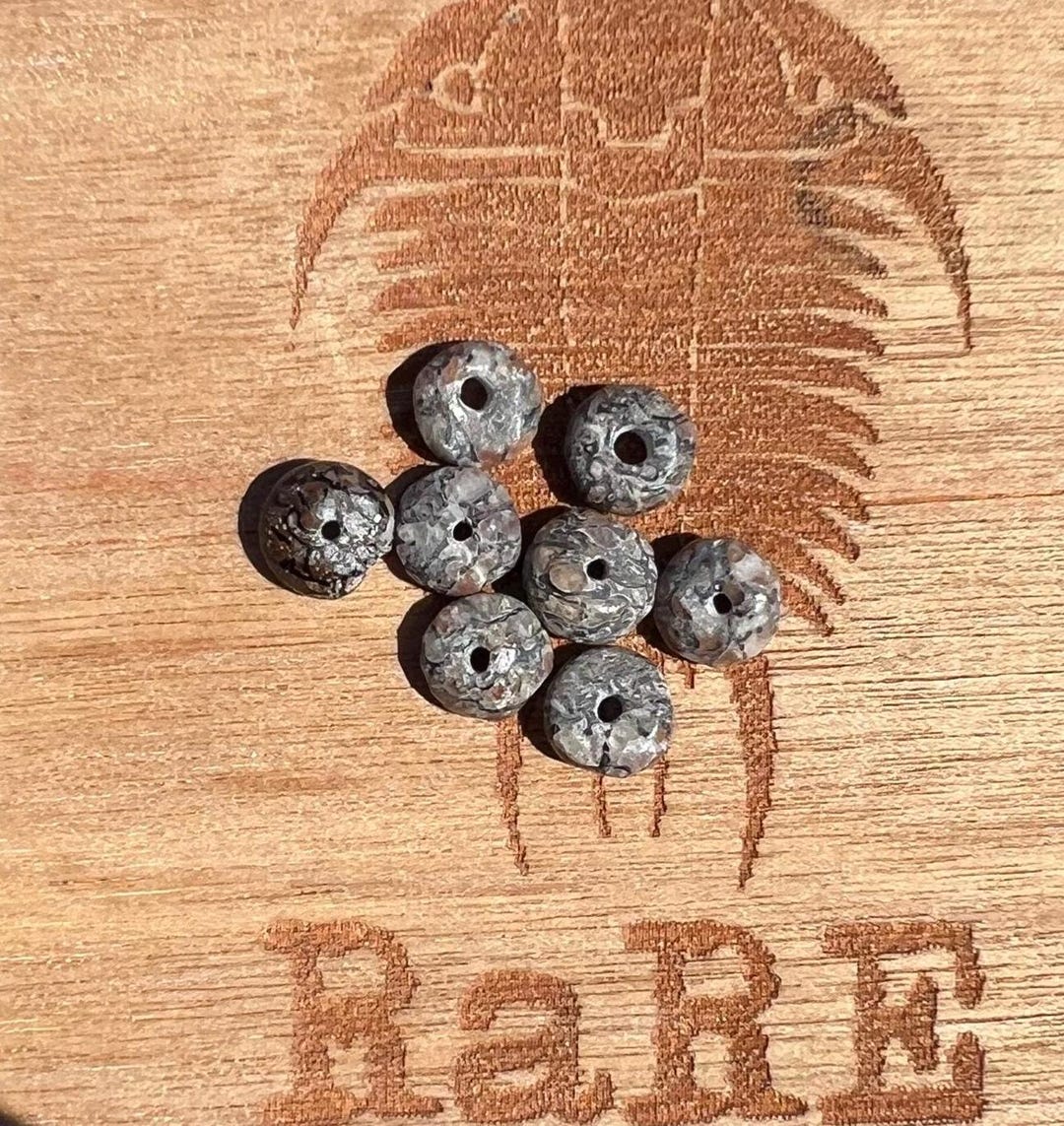 Dinosaur Gembone Beads | Fossil Jewelry Supply | Genuine Bone Beads ...