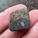 Beautiful Dinosaur Gembone Cabochon Fossil Jewelry Supply Genuine ...