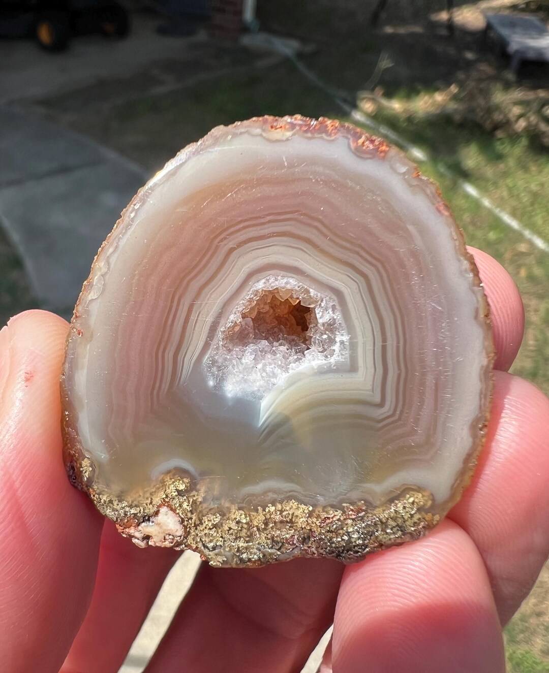 Coyamito Agate Half Nodule | Ping Agate | Mexican Agate Collector ...