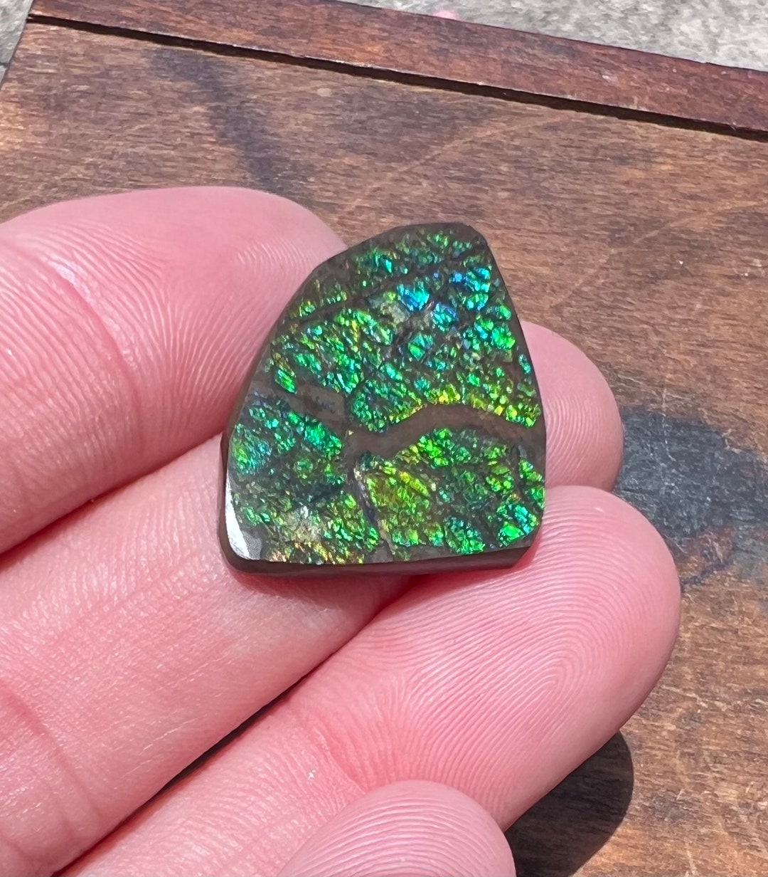 Natural Canadian Ammolite Freeform Cabochon Green and Blue Ammolite ...