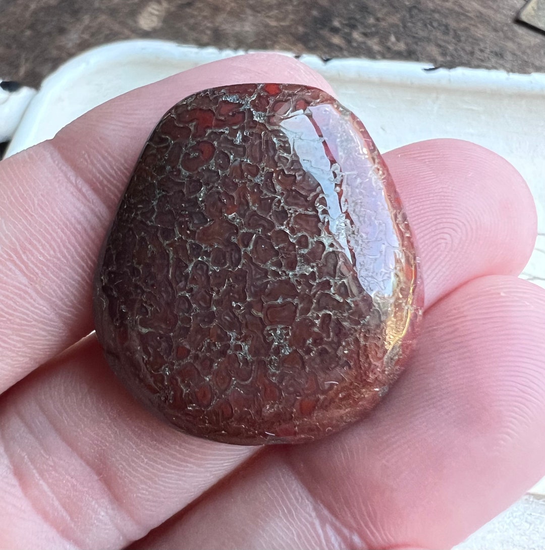 Dinosaur Gembone Cabochon | Fossil Jewelry Supply | Agatized Fossil ...