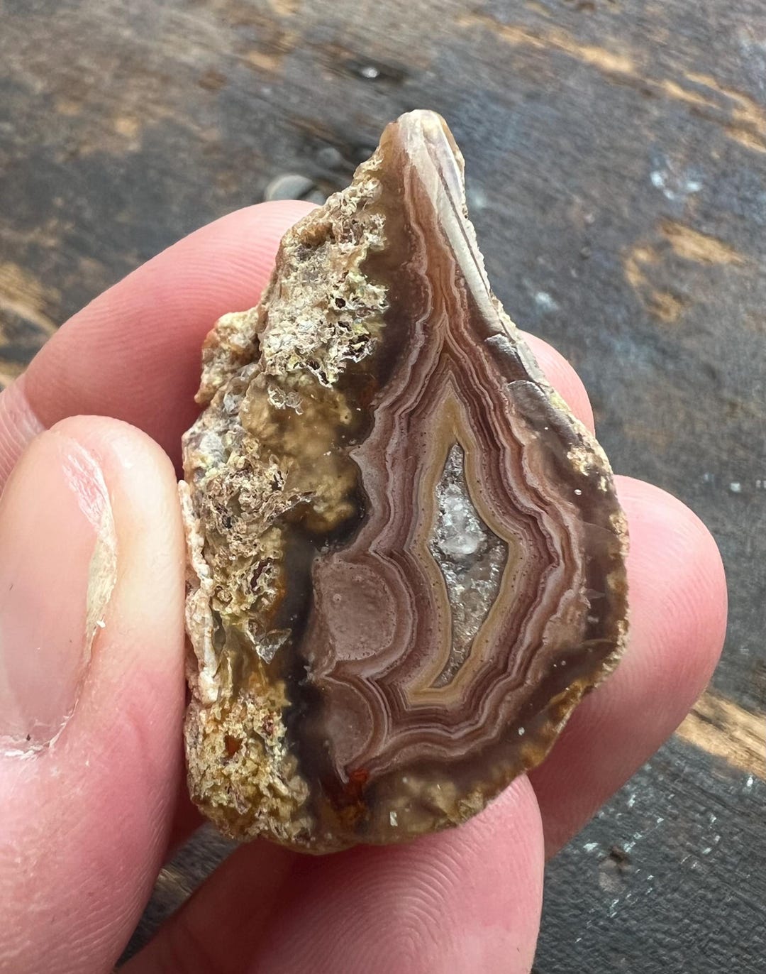 Cute Pink Laguna Agate Nodule From Mexico | Collector Agate Nodule ...