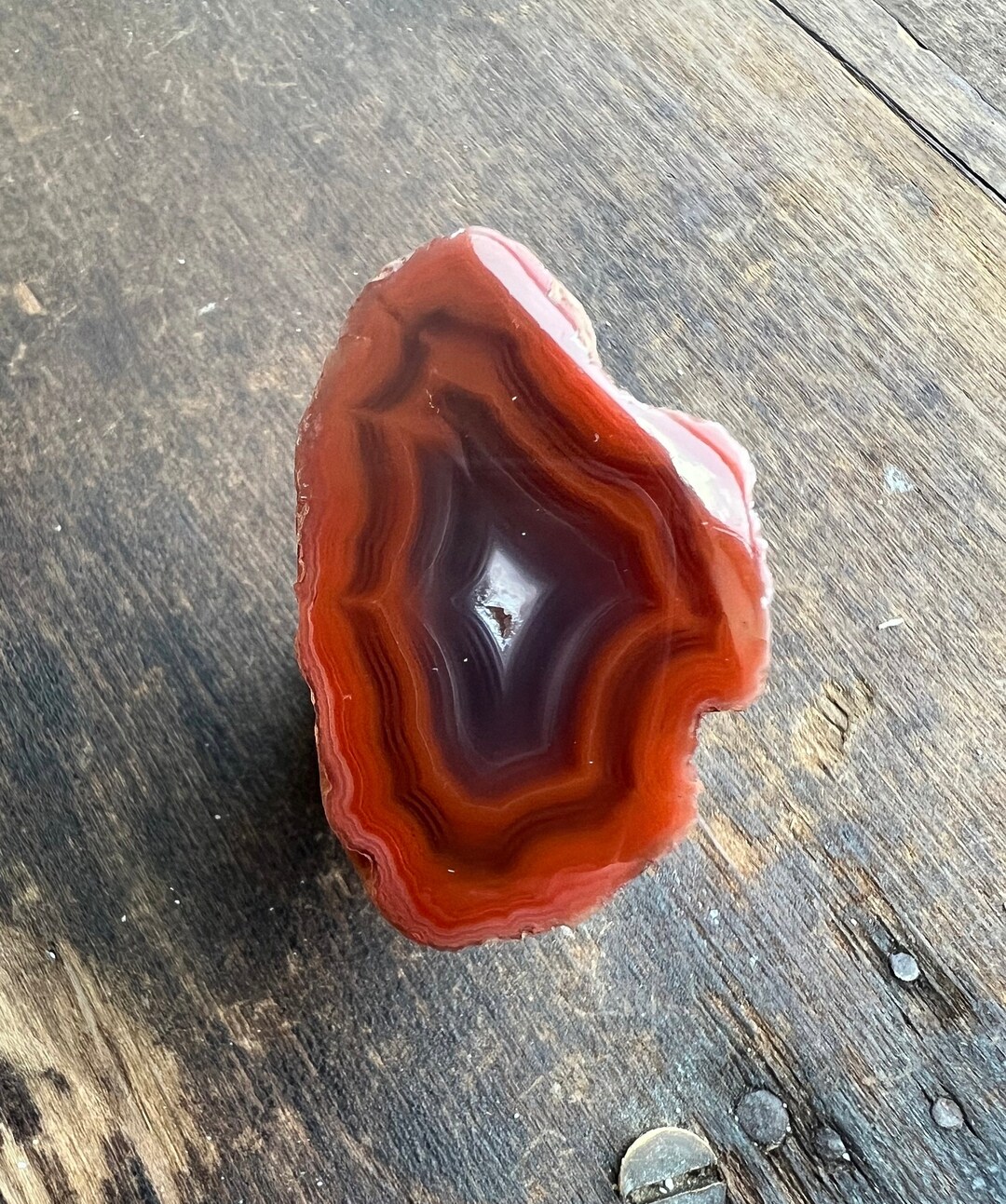 Coyamito Agate Half Nodule | Mexican Agate Collector Specimen | Baby ...