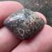 Beautiful Dinosaur Gembone Cabochon Fossil Jewelry Supply Genuine ...