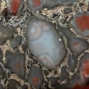 Beautiful Dinosaur Gembone Cabochon Fossil Jewelry Supply Genuine ...