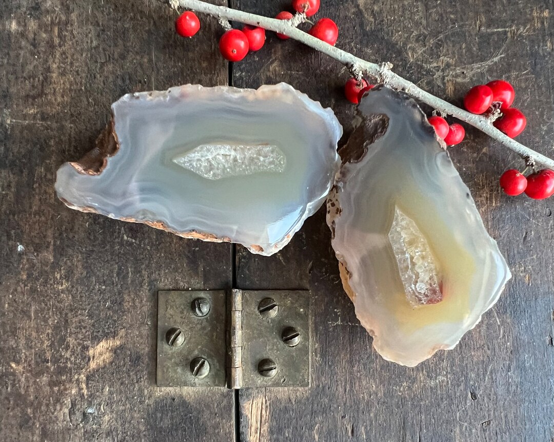 Lapidary Laguna Agate Pair Mexican Agate Nodule Natural Agate Laguna ...