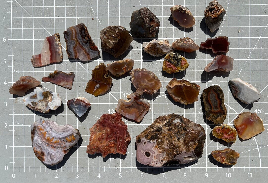 Bulk Rough Laguna Agate Laguna Agate for Tumbling or Lapidary 1 Pound 5 ...