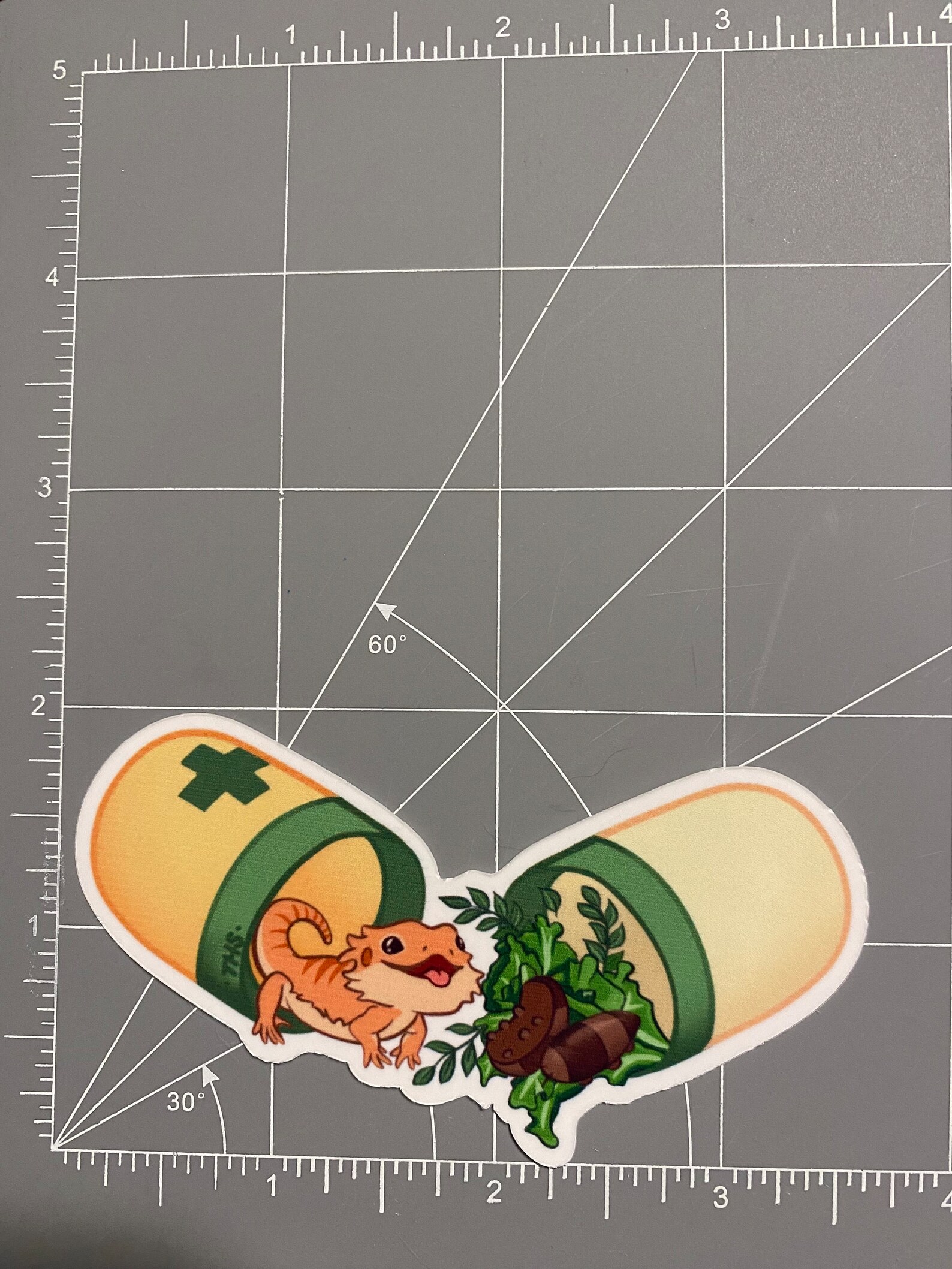 Bearded Dragon Pill Sticker - Etsy