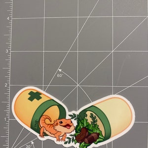 Bearded Dragon Pill Sticker - Etsy