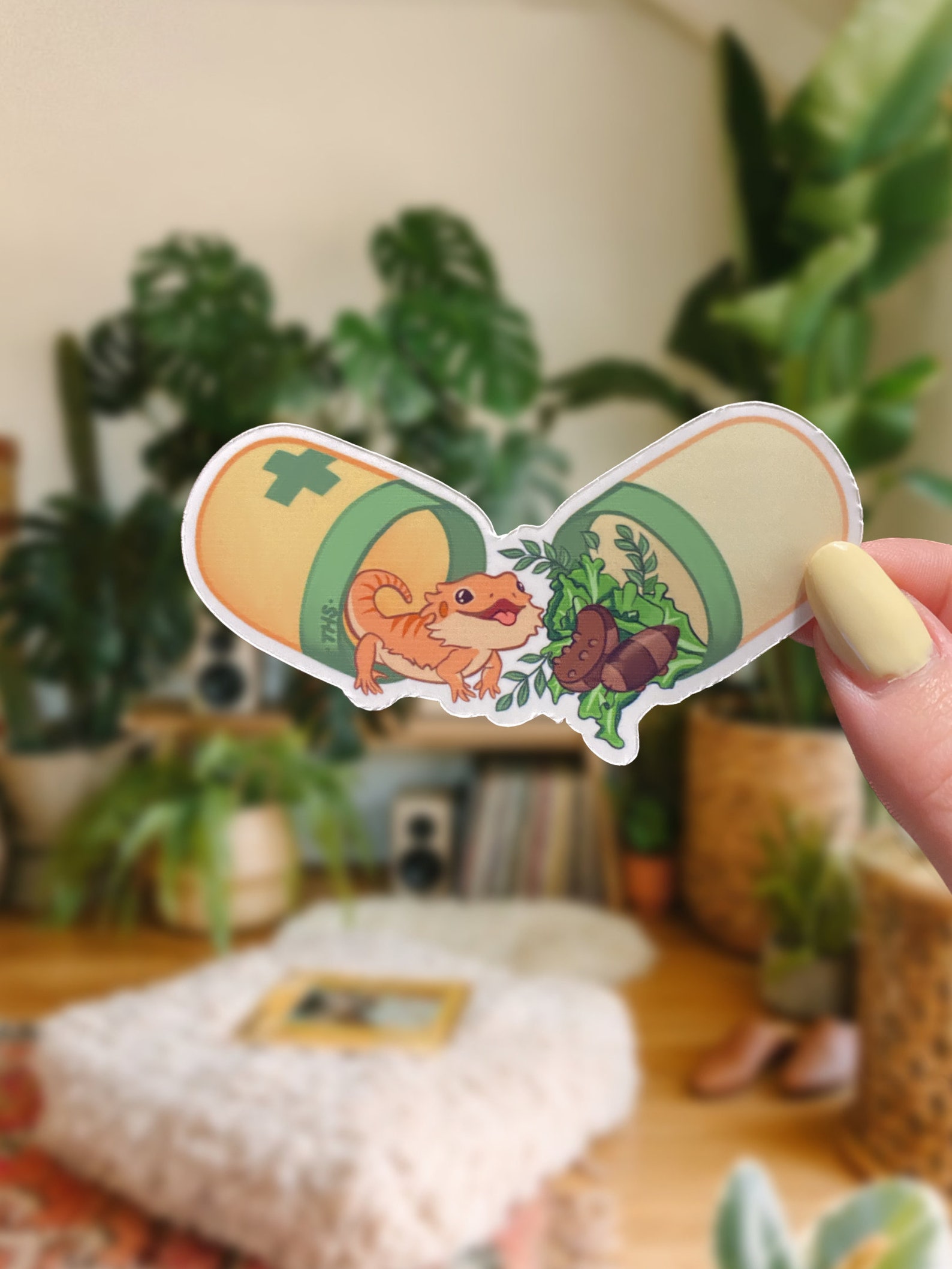 Bearded Dragon Pill Sticker - Etsy