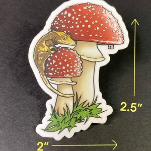Crested Gecko on a Mushroom Sticker - Etsy