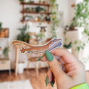 Crested Gecko Sticker Bundle - Etsy